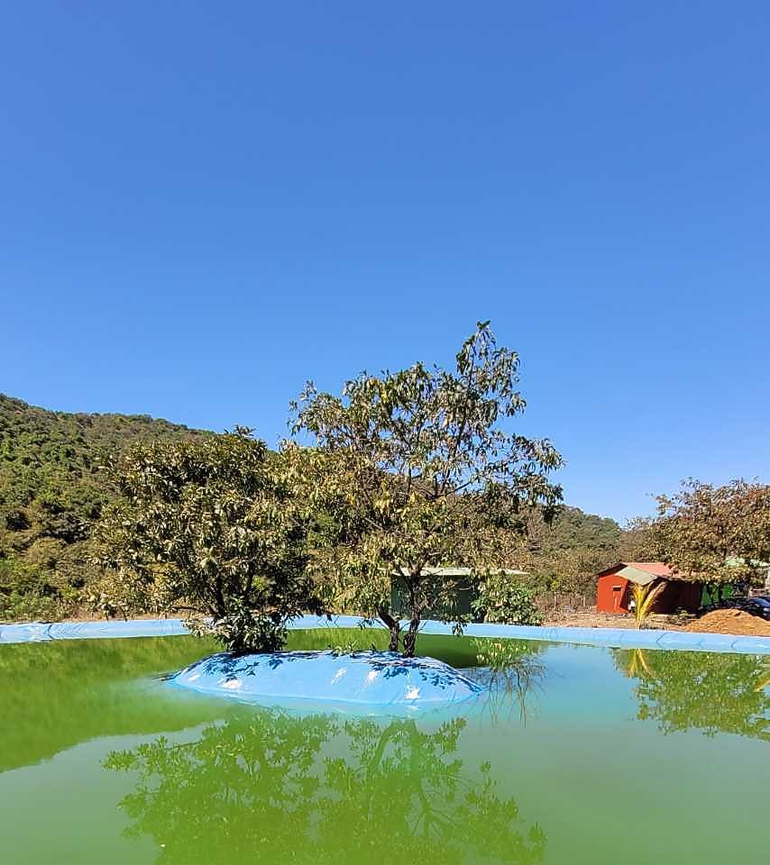 The Arboreal Resort Lonavala 𝗕𝗢𝗢𝗞 Lonavala Cottage 𝘄𝗶𝘁𝗵 ₹𝟬 𝗣𝗔𝗬𝗠𝗘𝗡𝗧