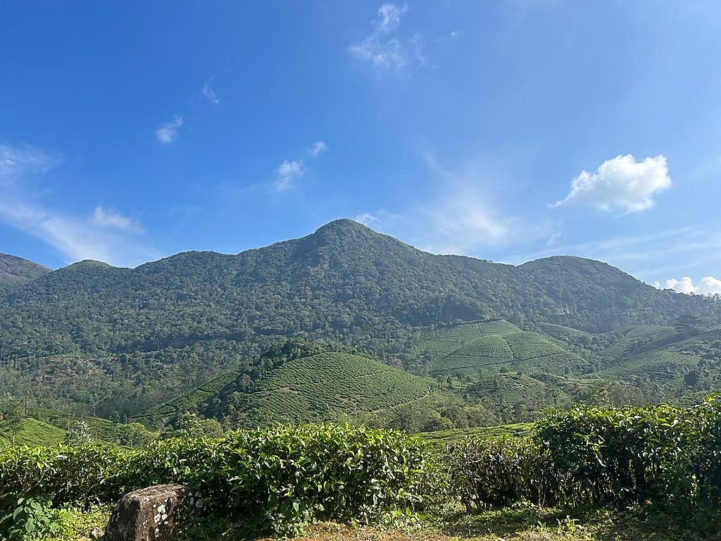 Edayan Meadows Vagamon 𝗕𝗢𝗢𝗞 Vagamon Homestay 𝘄𝗶𝘁𝗵 ₹𝟬 𝗣𝗔𝗬𝗠𝗘𝗡𝗧