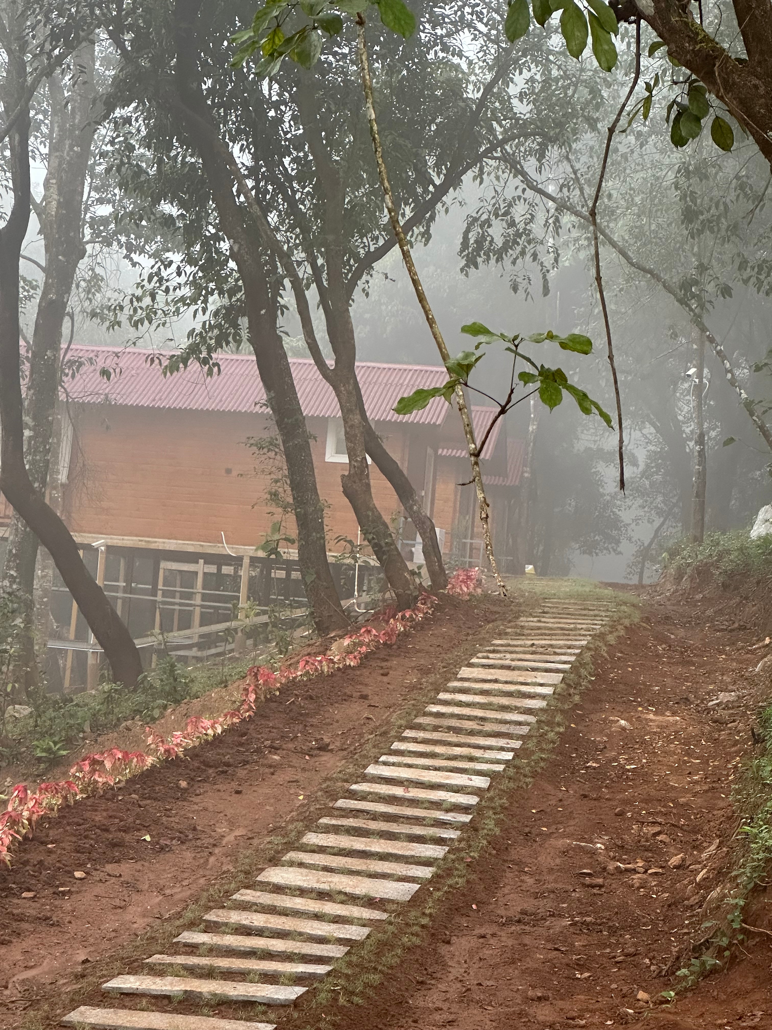 Coorg JungleMist 𝗕𝗢𝗢𝗞 Coorg Homestay 𝘄𝗶𝘁𝗵 𝗙𝗥𝗘𝗘 𝗖𝗮𝗻𝗰𝗲𝗹𝗹𝗮𝘁𝗶𝗼𝗻