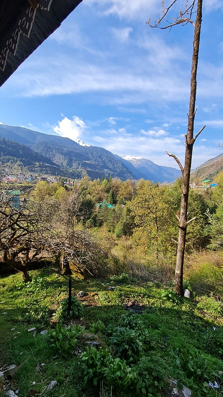Apple Valley Cottages 100% Money Back 𝗕𝗢𝗢𝗞 Lachung Hotel 𝘄𝗶𝘁𝗵 ₹𝟬 𝗣𝗔𝗬𝗠𝗘𝗡𝗧