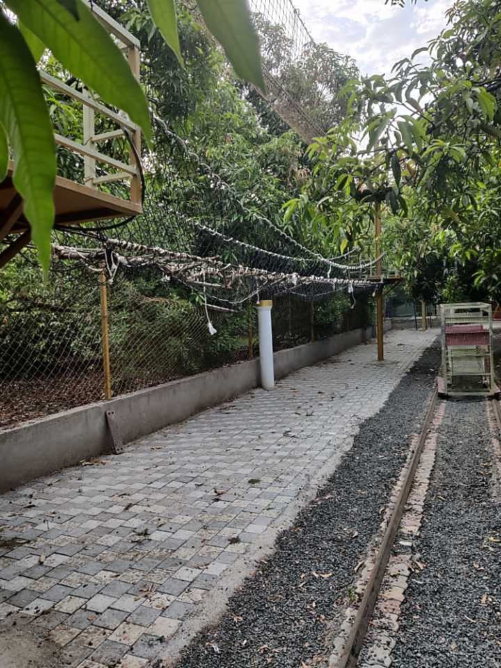 Van Vihar Resort | Sasan Gir Resort BOOK @ ₹1