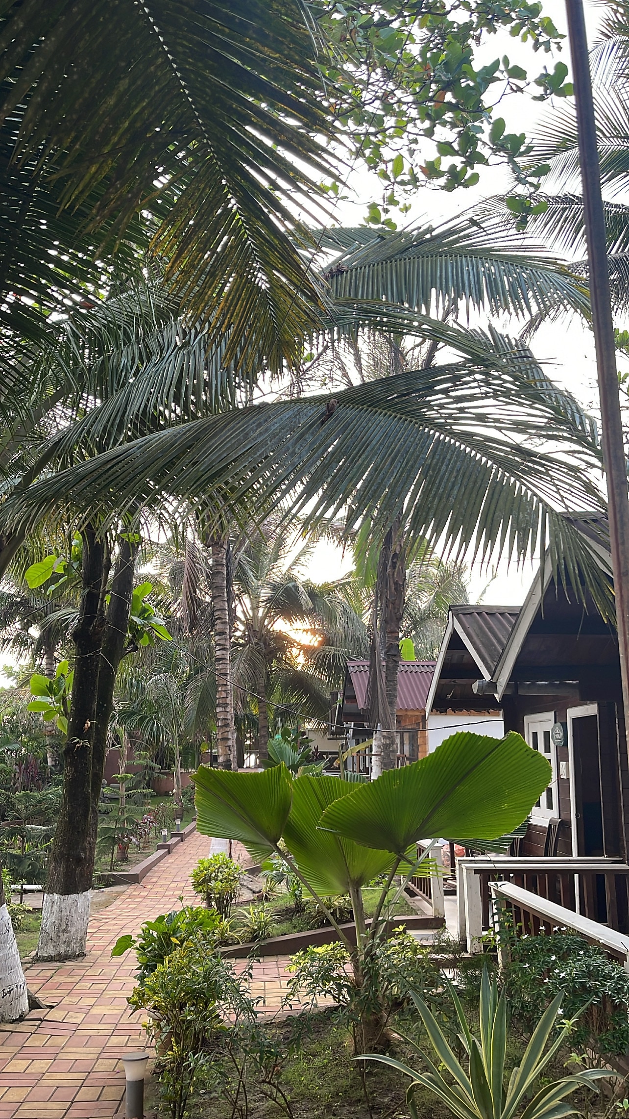 Maitree Resort,Goa 𝗕𝗢𝗢𝗞 Goa Resort 𝘄𝗶𝘁𝗵 𝗙𝗥𝗘𝗘 𝗖𝗮𝗻𝗰𝗲𝗹𝗹𝗮𝘁𝗶𝗼𝗻