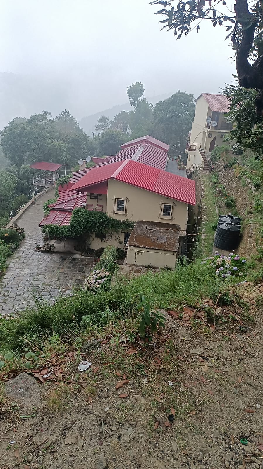 The Oak Grove Inn 𝗕𝗢𝗢𝗞 Lansdowne Homestay 𝘄𝗶𝘁𝗵 𝗙𝗥𝗘𝗘 𝗖𝗮𝗻𝗰𝗲𝗹𝗹𝗮𝘁𝗶𝗼𝗻