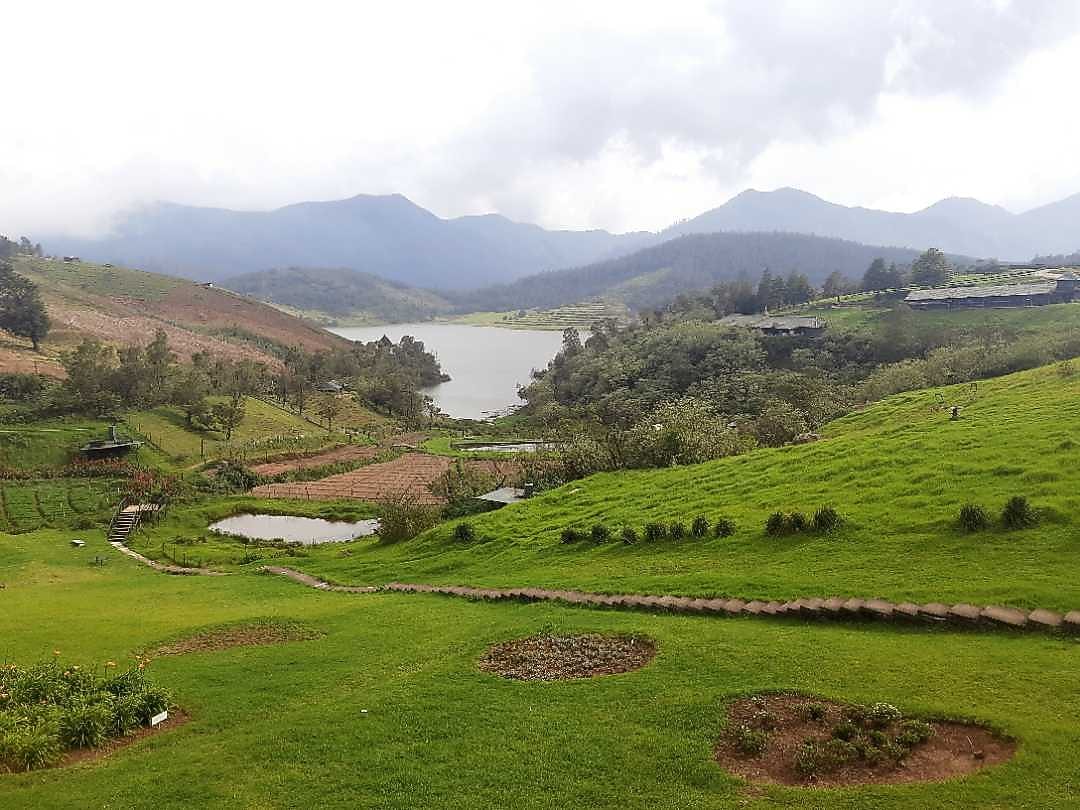 Destiny - The Farm Resort 𝗕𝗢𝗢𝗞 Ooty Resort 𝘄𝗶𝘁𝗵 𝗙𝗥𝗘𝗘 𝗖𝗮𝗻𝗰𝗲𝗹𝗹𝗮𝘁𝗶𝗼𝗻