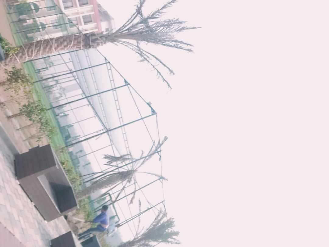 Mystique Mayong Eco Resort 𝗕𝗢𝗢𝗞 Mayang Hotel 𝘄𝗶𝘁𝗵 ₹𝟬 𝗣𝗔𝗬𝗠𝗘𝗡𝗧