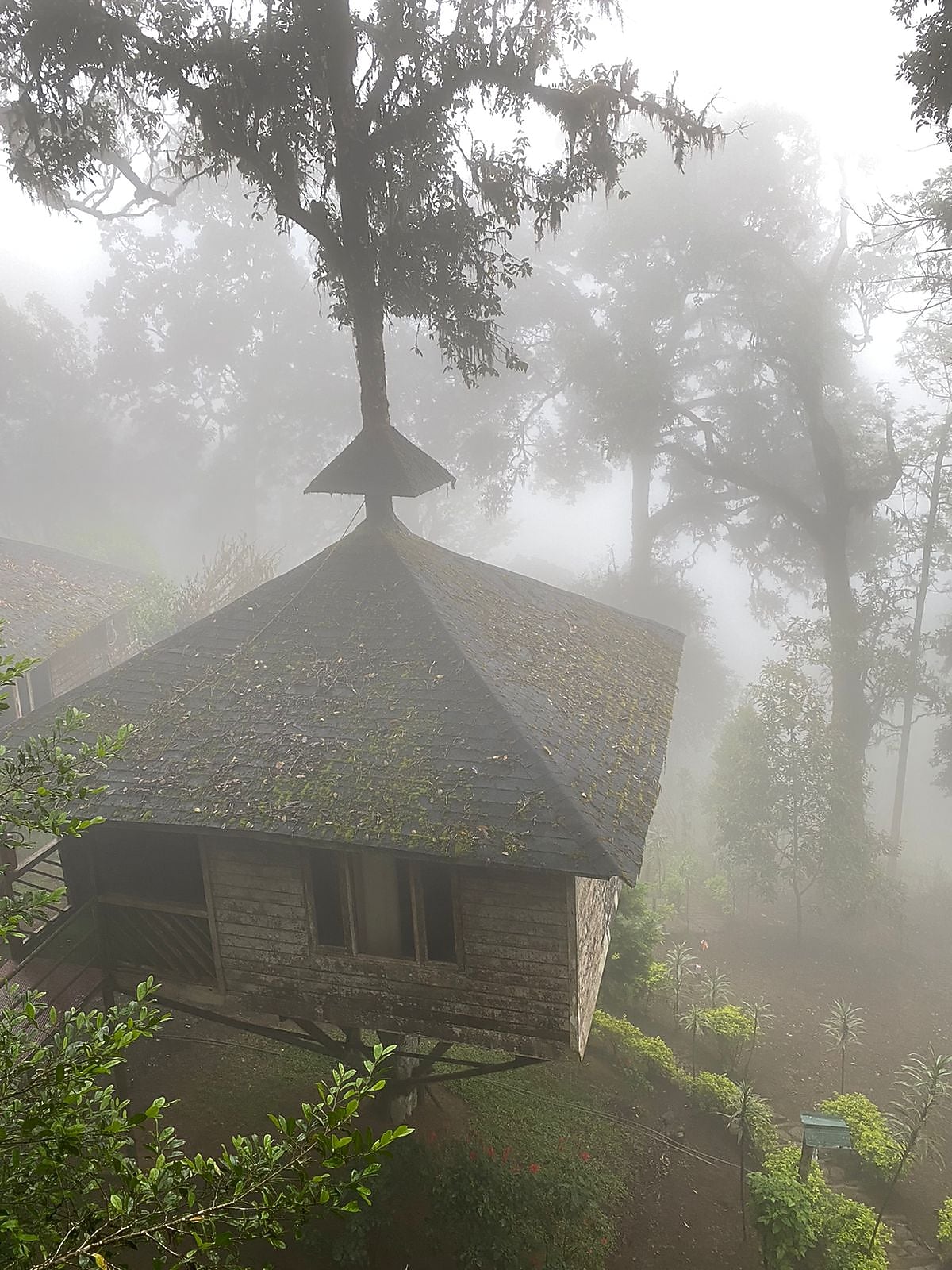 Nature Zone Jungle Resort 𝗕𝗢𝗢𝗞 Munnar Resort 𝘄𝗶𝘁𝗵 𝗙𝗥𝗘𝗘 𝗖𝗮𝗻𝗰𝗲𝗹𝗹𝗮𝘁𝗶𝗼𝗻