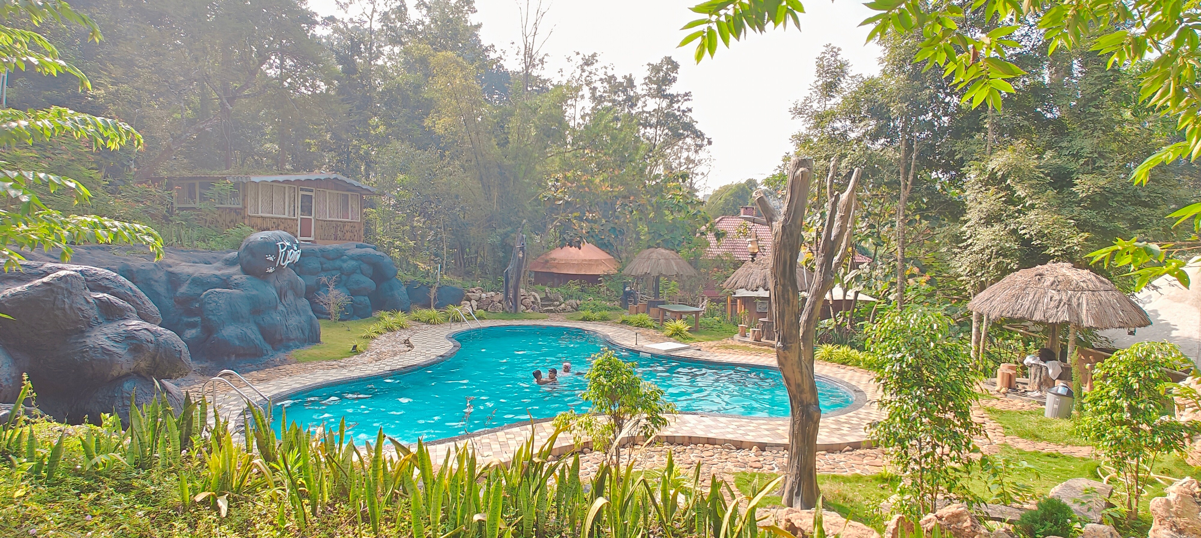 Photos of Pugmarks Jungle Lodge - Resort in Wayanad