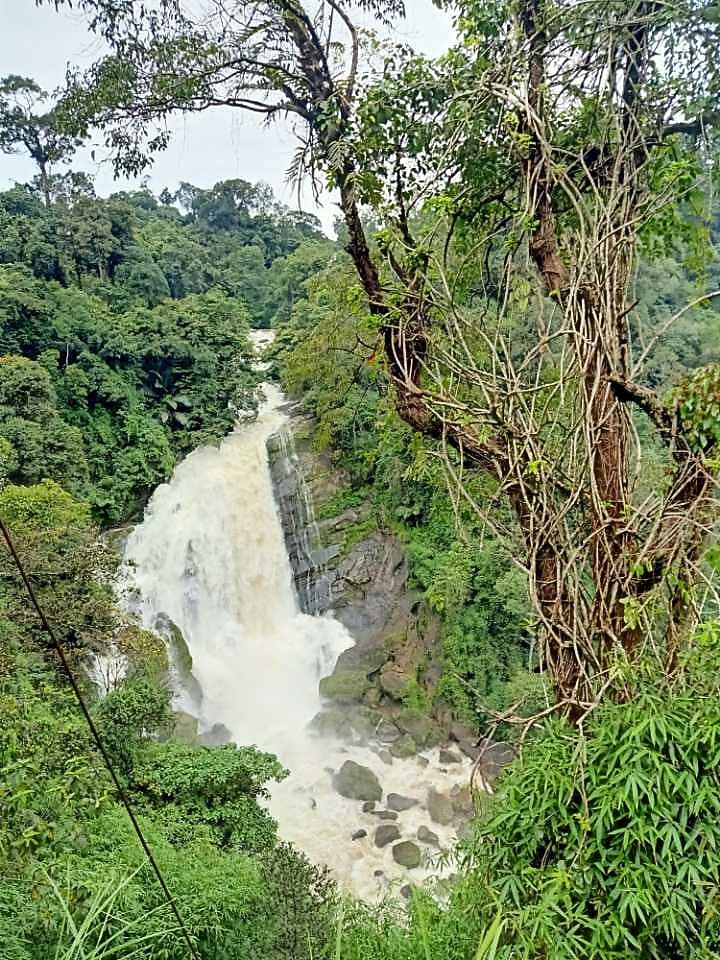 Le Celestium Best Rates on Munnar Hotel Deals, Reviews & Photos