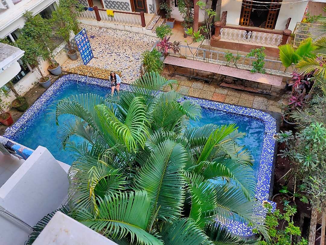 Photos of Golden Rice - Apartment in Goa