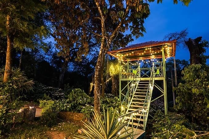 Photos of Zostel Coorg (Madikeri) - Hostel in Coorg