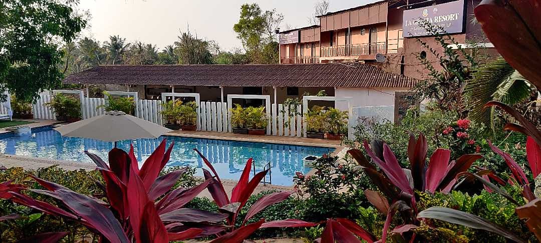 White Woods Resort & Spa 𝗕𝗢𝗢𝗞 Goa Resort 𝘄𝗶𝘁𝗵 ₹𝟬 𝗣𝗔𝗬𝗠𝗘𝗡𝗧