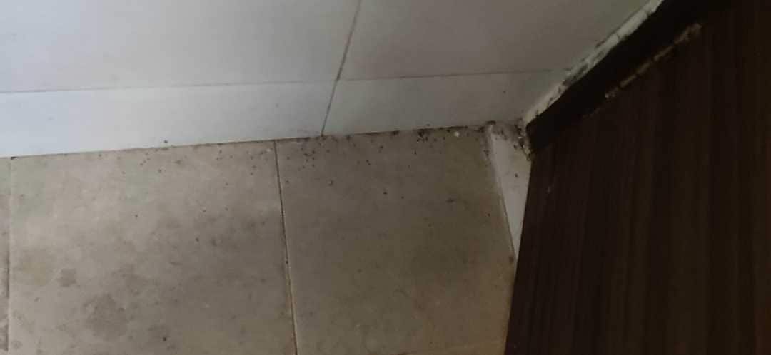 Royal Suites Chakki Mor 𝗕𝗢𝗢𝗞 Kasauli Hotel 𝘄𝗶𝘁𝗵 𝗙𝗥𝗘𝗘 𝗖𝗮𝗻𝗰𝗲𝗹𝗹𝗮𝘁𝗶𝗼𝗻