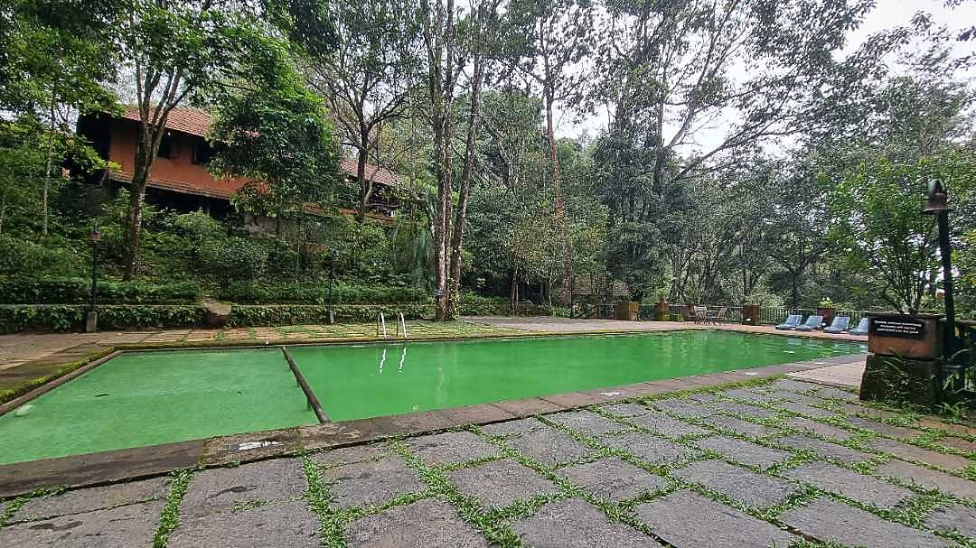 Vythiri Resort 𝗕𝗢𝗢𝗞 Wayanad Resort 𝘄𝗶𝘁𝗵 𝗙𝗥𝗘𝗘 𝗖𝗮𝗻𝗰𝗲𝗹𝗹𝗮𝘁𝗶𝗼𝗻