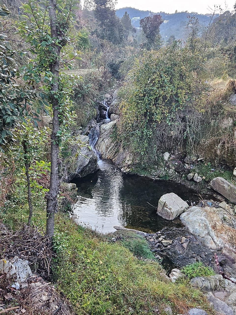 Saanidhya Homestay Sunkiya 𝗕𝗢𝗢𝗞 Mukteshwar Homestay 𝘄𝗶𝘁𝗵 𝗙𝗥𝗘𝗘 𝗖𝗮𝗻𝗰𝗲𝗹𝗹𝗮𝘁𝗶𝗼𝗻