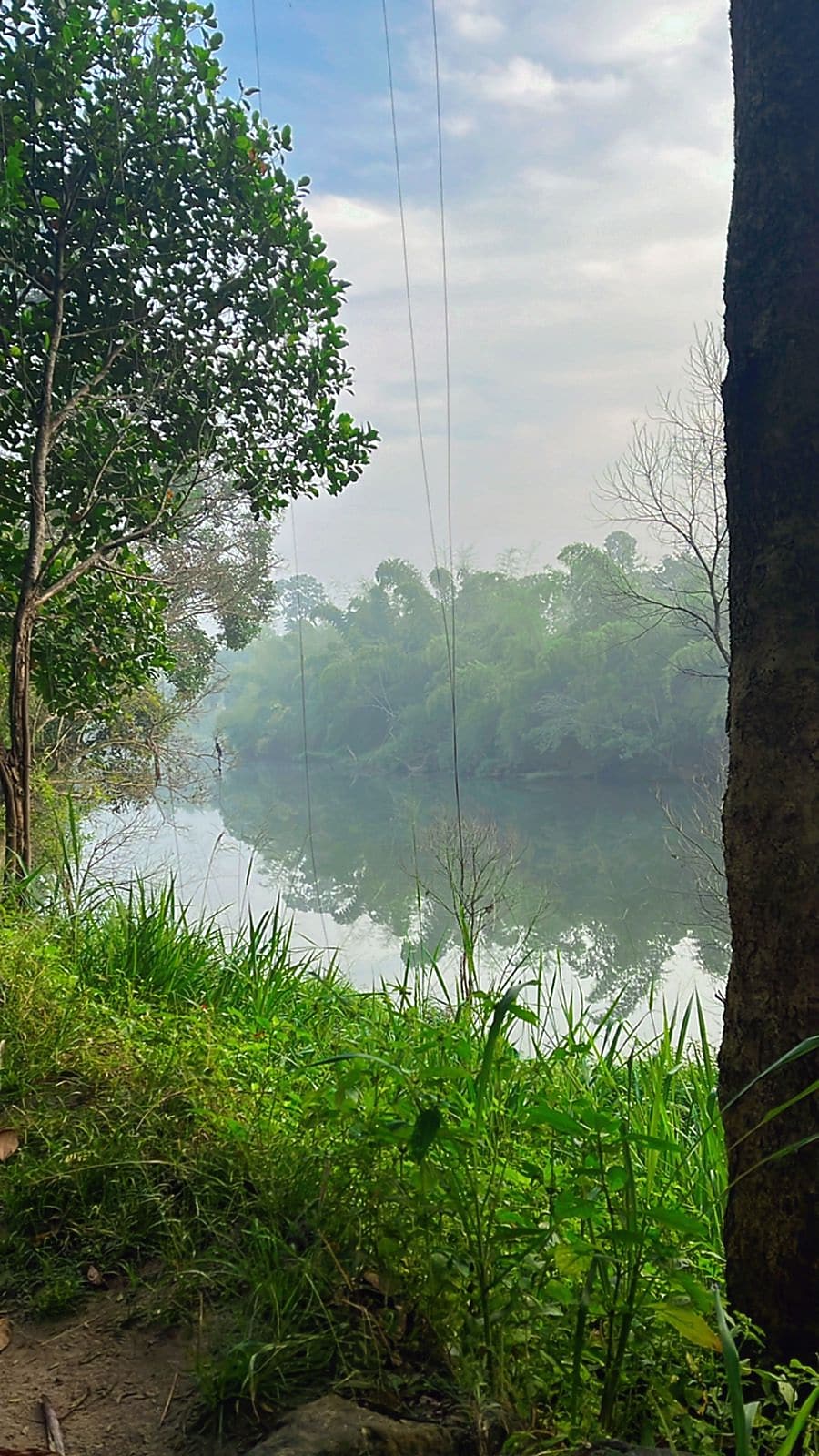 StayVista at Firefly By The River 𝗕𝗢𝗢𝗞 Coorg Homestay 𝘄𝗶𝘁𝗵 𝗙𝗥𝗘𝗘 ...