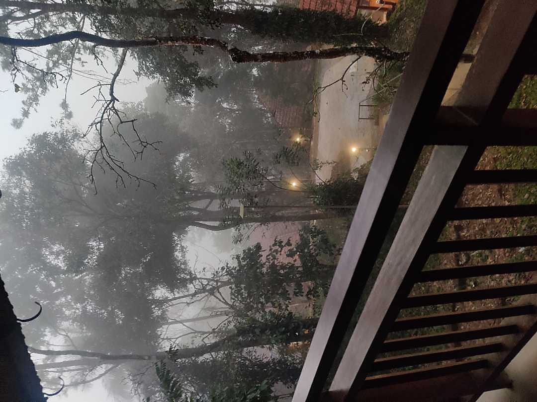 Photos of Terrace Resorts - Resort in Wayanad