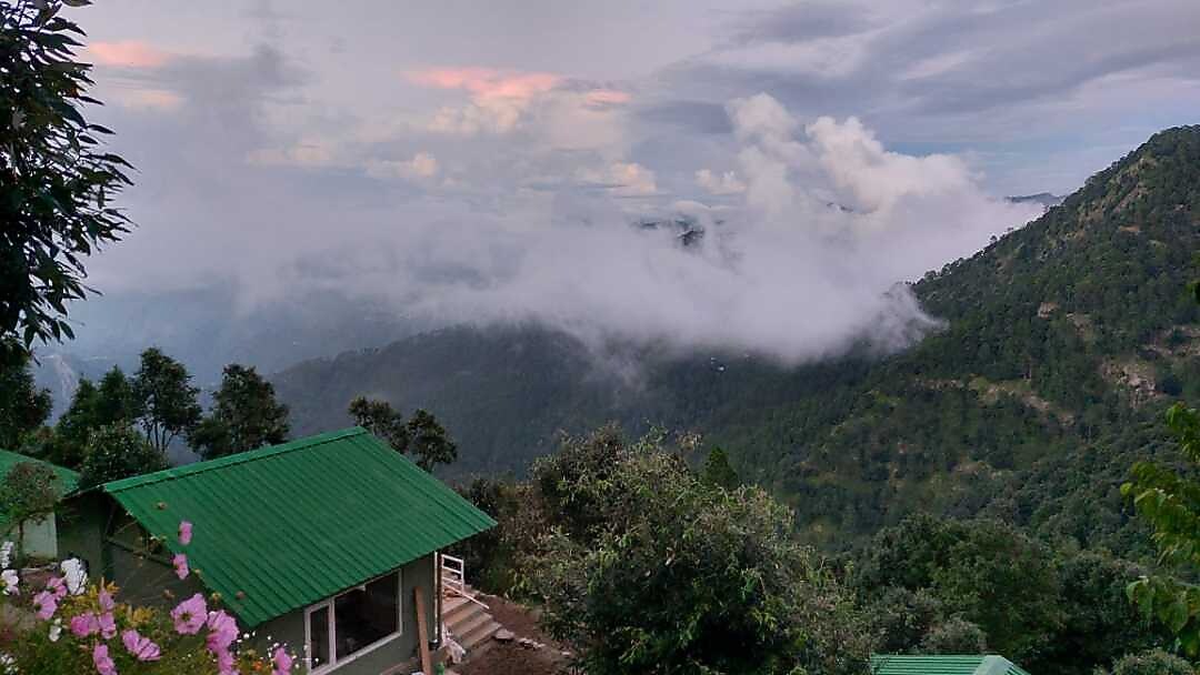 Photos of Zostel Plus Nainital (Naina Range) - Hostel in Nainital