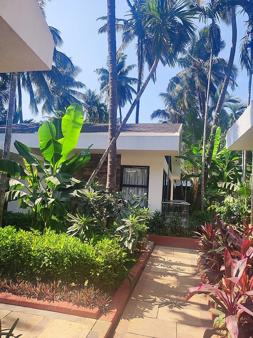 Coco Palms resort 𝗕𝗢𝗢𝗞 Diveagar Resort 𝘄𝗶𝘁𝗵 ₹𝟬 𝗣𝗔𝗬𝗠𝗘𝗡𝗧