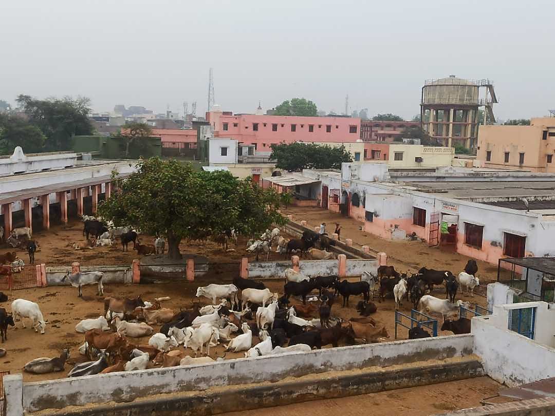 Photos of Dwarka Kunj - Hotel in Vrindavan