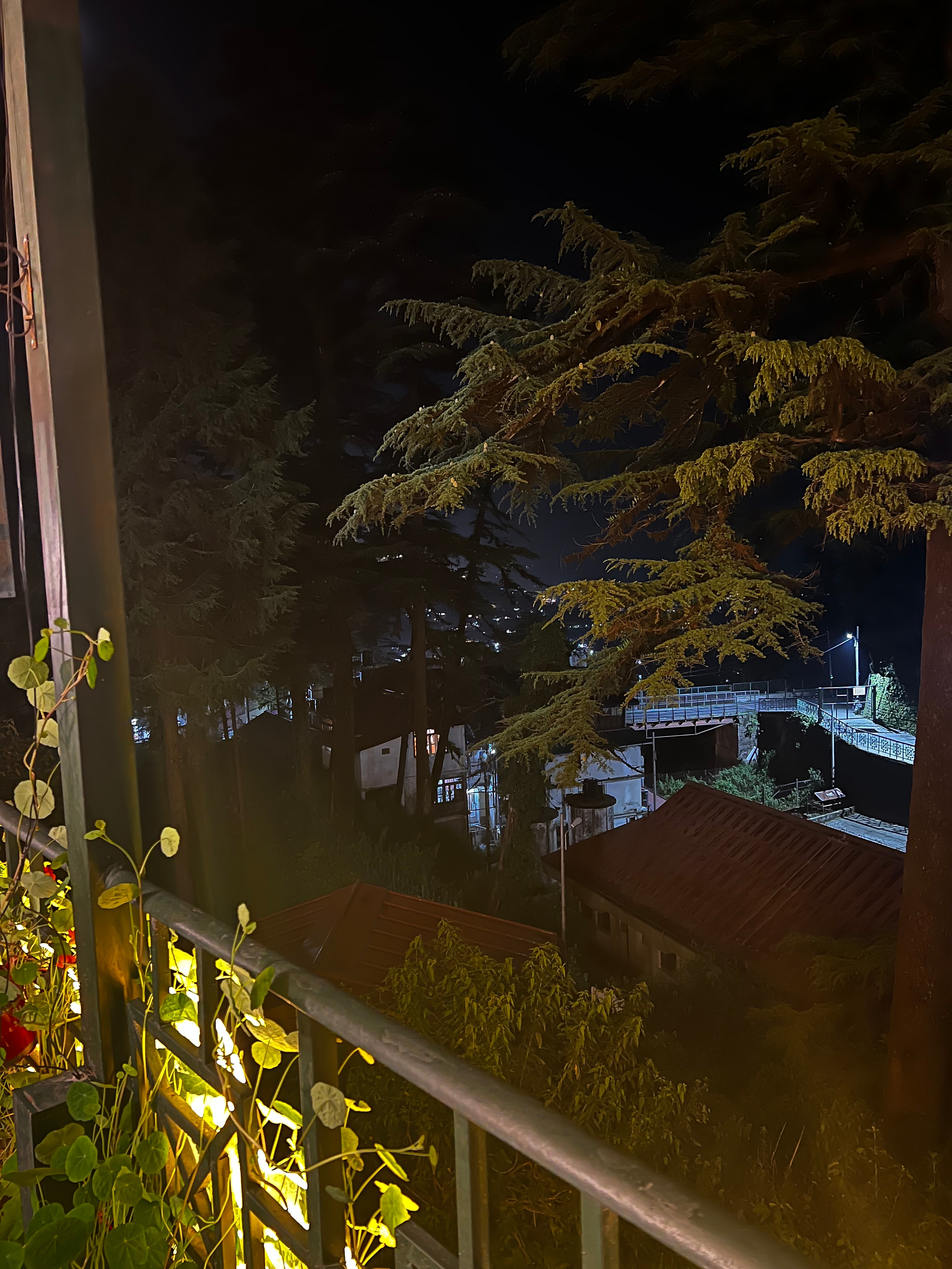 Light of Landour 𝗕𝗢𝗢𝗞 Mussoorie Hotel 𝘄𝗶𝘁𝗵 𝗙𝗥𝗘𝗘 𝗖𝗮𝗻𝗰𝗲𝗹𝗹𝗮𝘁𝗶𝗼𝗻