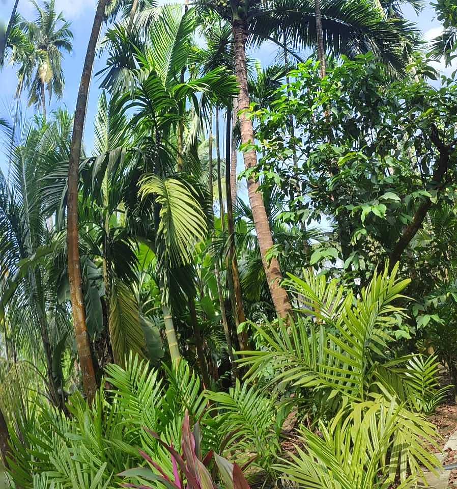 Joshi`s Nivaant Cottage, Chaul 𝗕𝗢𝗢𝗞 Alibaug Cottage 𝘄𝗶𝘁𝗵 𝗙𝗥𝗘𝗘 𝗖𝗮𝗻𝗰𝗲𝗹𝗹𝗮𝘁𝗶𝗼𝗻