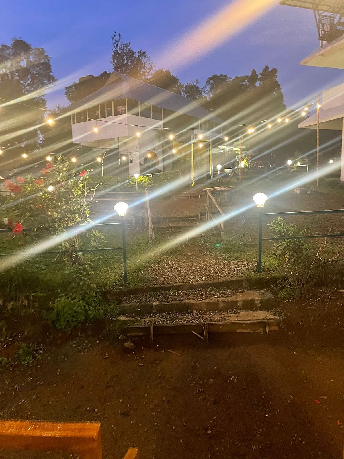 Forest County Munnar 𝗕𝗢𝗢𝗞 Munnar Resort 𝘄𝗶𝘁𝗵 𝗙𝗥𝗘𝗘 𝗖𝗮𝗻𝗰𝗲𝗹𝗹𝗮𝘁𝗶𝗼𝗻