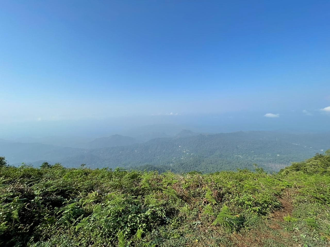 Forest County Munnar Best Rates on Munnar Hotel Deals, Reviews & Photos