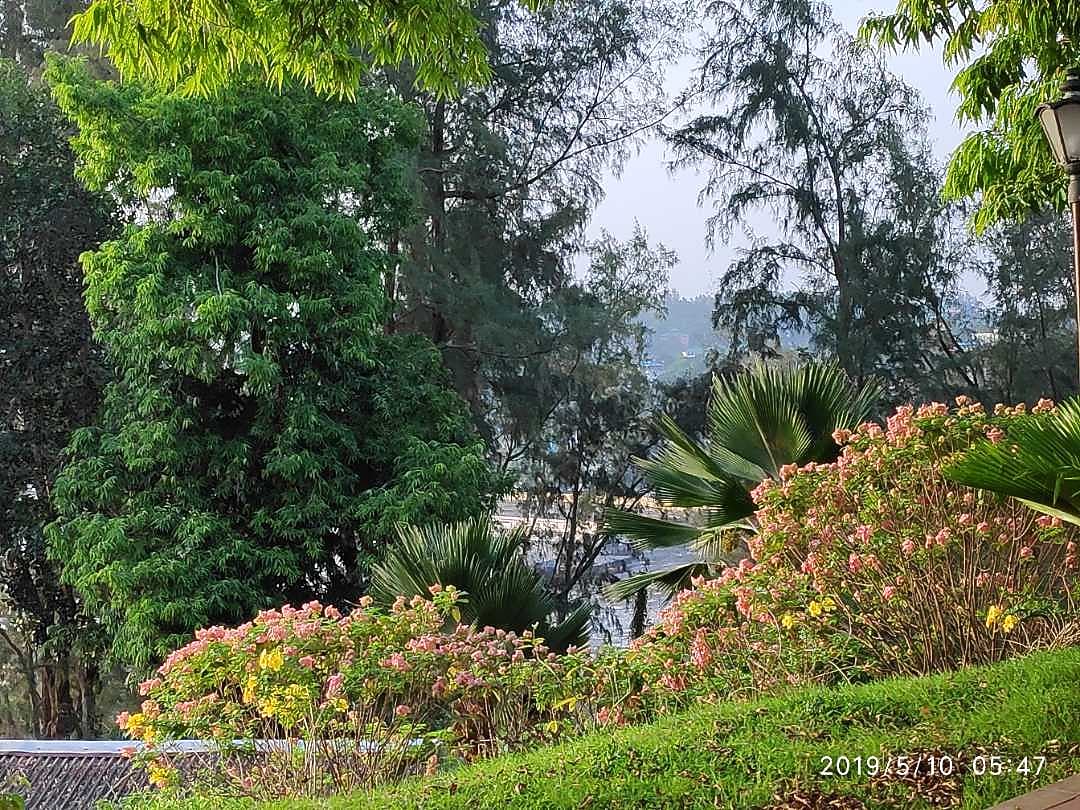 Megapode Resort Port Blair Resort, FREE Cancellation*, Price, Address ...