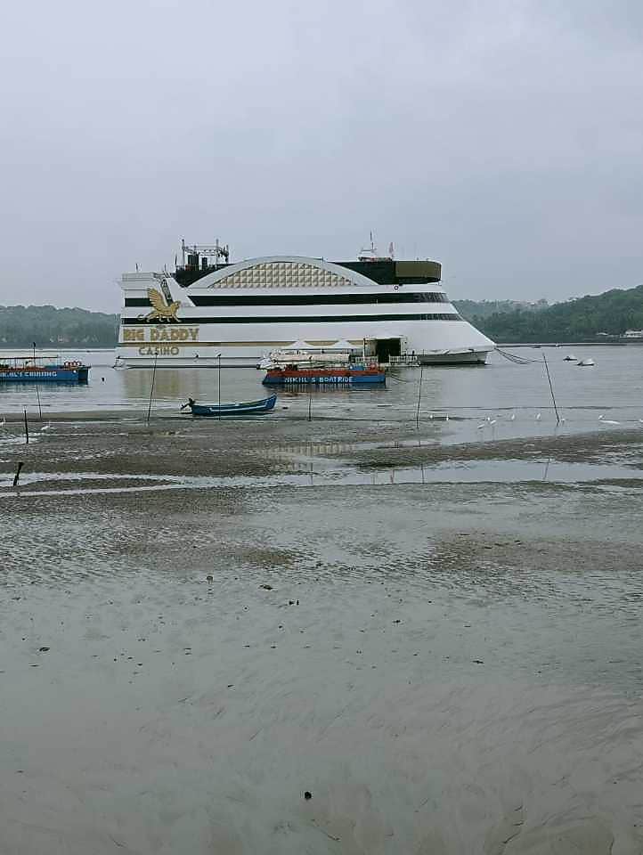 Treehouse Neptune Inn Best Rates on Goa Hotel Deals, Reviews & Photos