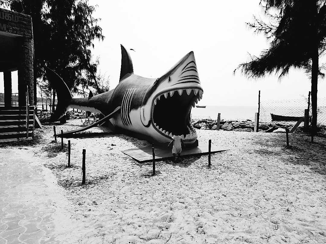 Hotel Amman Residency 𝗕𝗢𝗢𝗞 Rameshwaram Hotel 𝘄𝗶𝘁𝗵 𝗙𝗥𝗘𝗘 𝗖𝗮𝗻𝗰𝗲𝗹𝗹𝗮𝘁𝗶𝗼𝗻