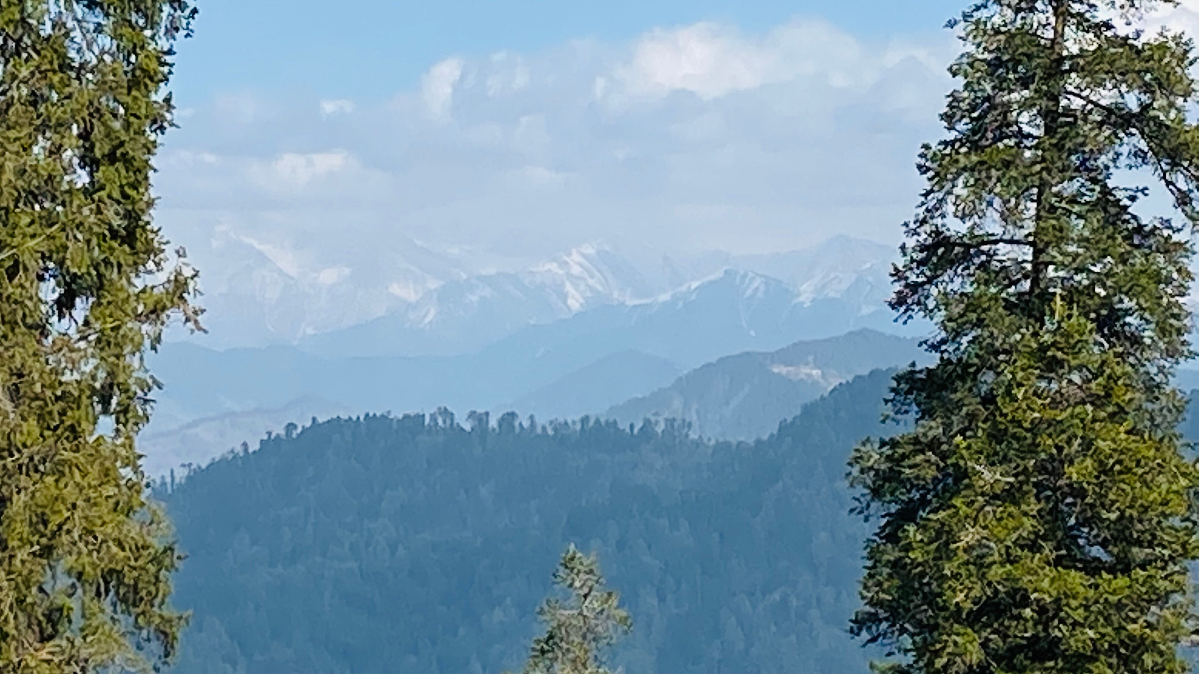 Hotel SnowFlake Narkanda Hotel Price, Address & Reviews