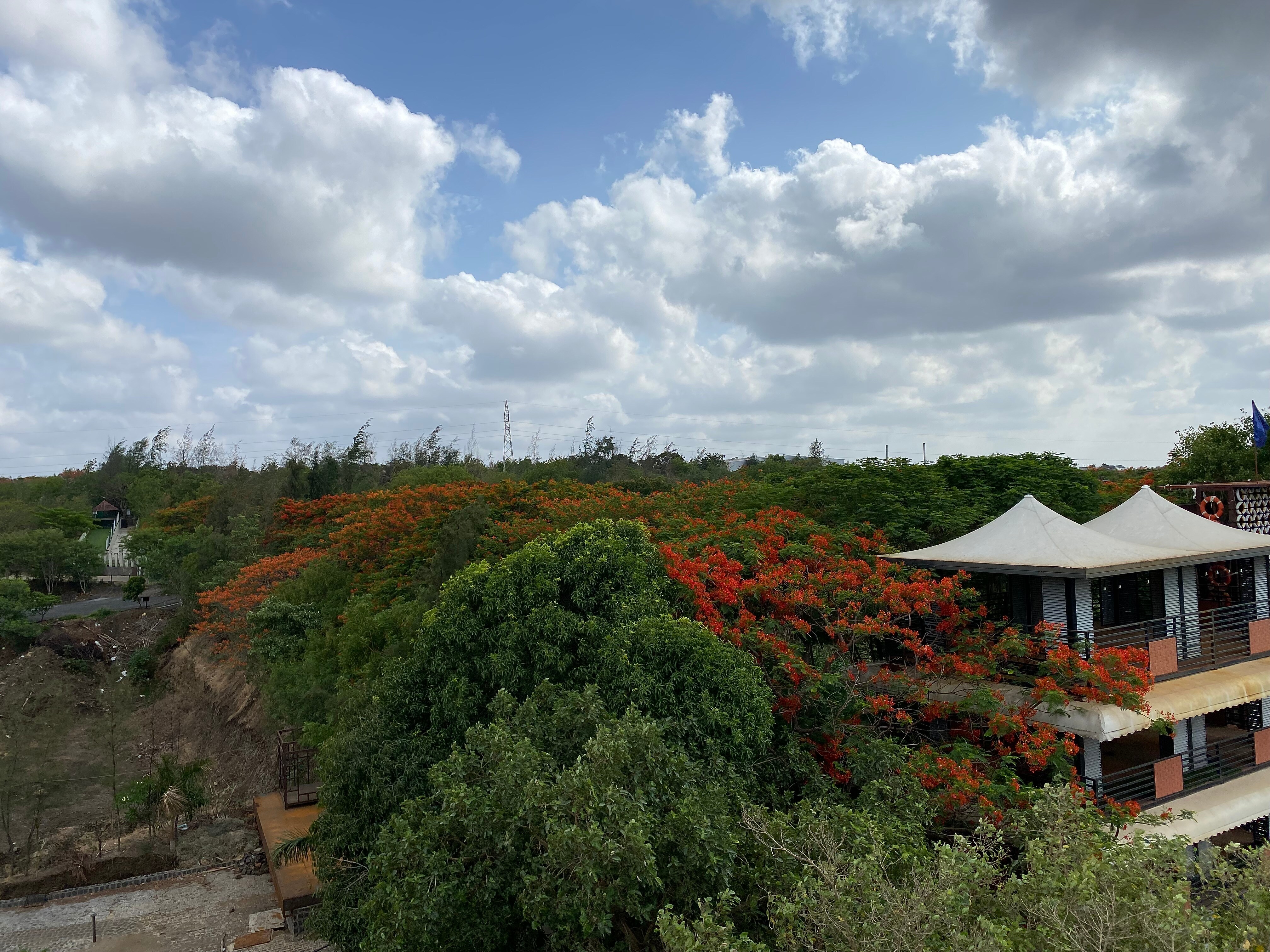 The Grand Machal Resorts & Clubs Pvt. Ltd. Best Rates on Depalpur Hotel ...