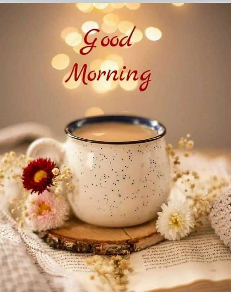 Hotel Mareena Regency 𝗕𝗢𝗢𝗞 Cochin Hotel 𝘄𝗶𝘁𝗵 ₹𝟬 𝗣𝗔𝗬𝗠𝗘𝗡𝗧