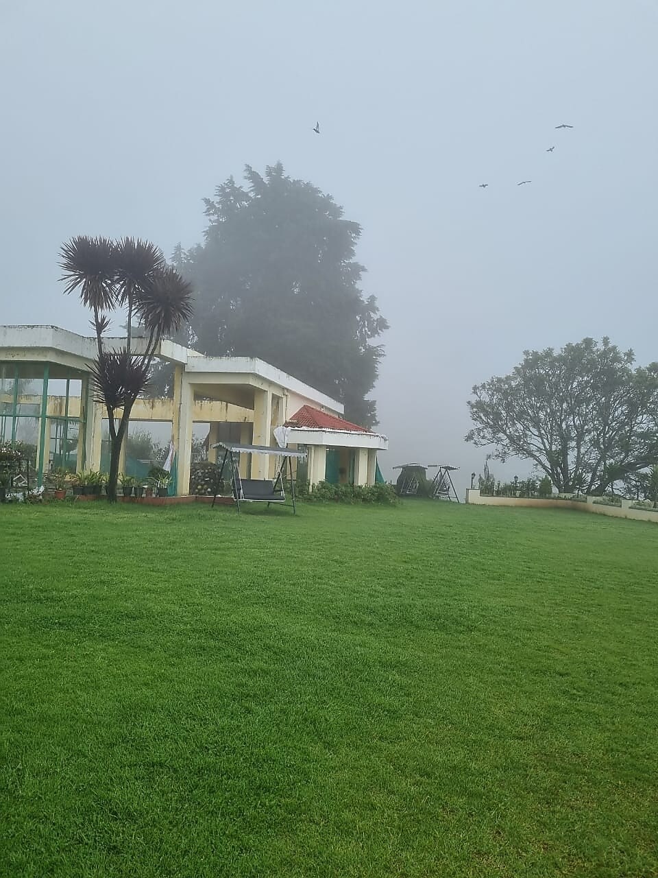 Gem Park 𝗕𝗢𝗢𝗞 Ooty Hotel 𝘄𝗶𝘁𝗵 ₹𝟬 𝗣𝗔𝗬𝗠𝗘𝗡𝗧
