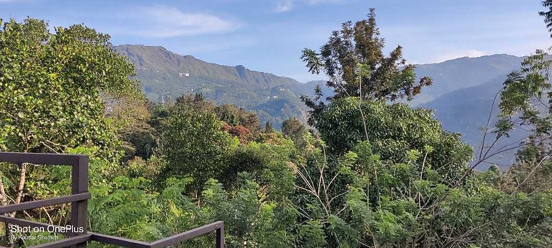 Munnar Farmhouse | Rooms in a Villa 𝗕𝗢𝗢𝗞 Munnar Farm House 𝘄𝗶𝘁𝗵 𝗙𝗥𝗘𝗘 ...