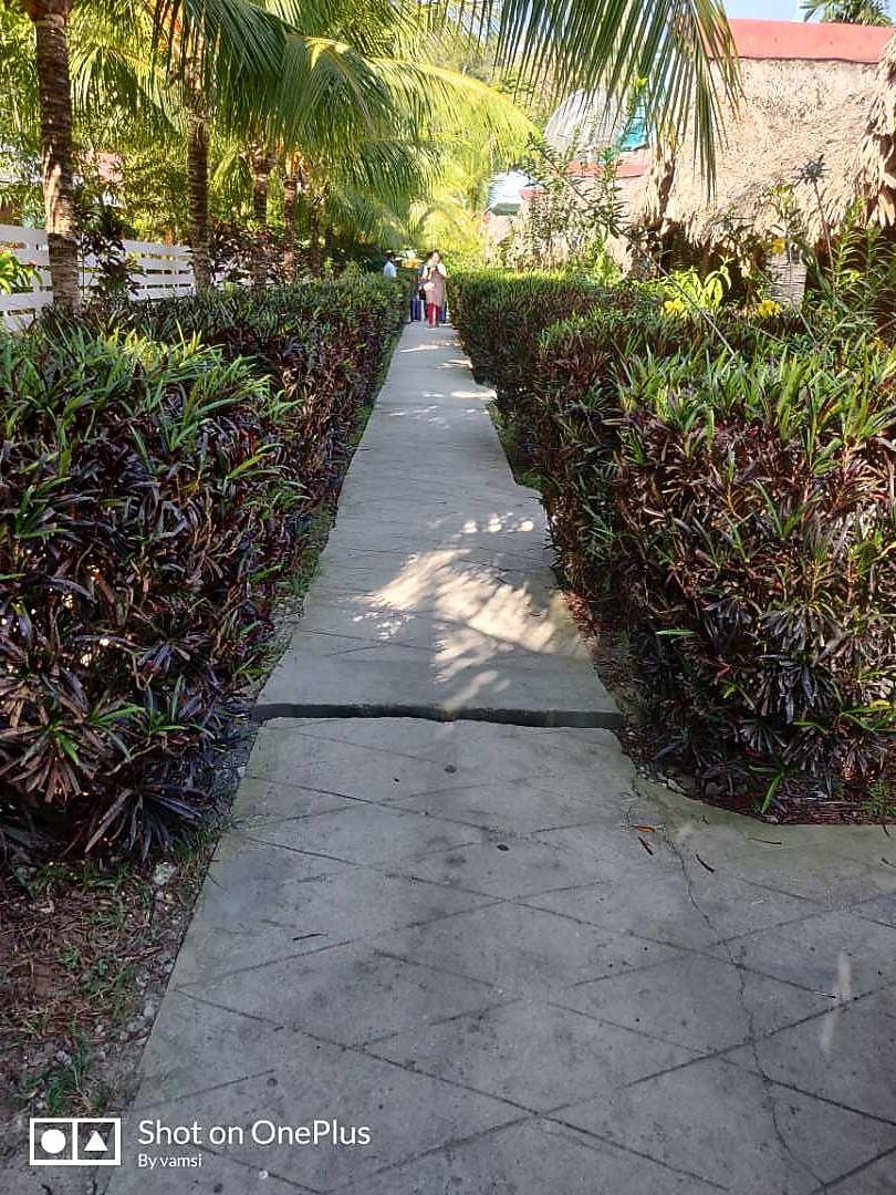 Blue Bird Resort Havelock Resort Price, Address & Reviews