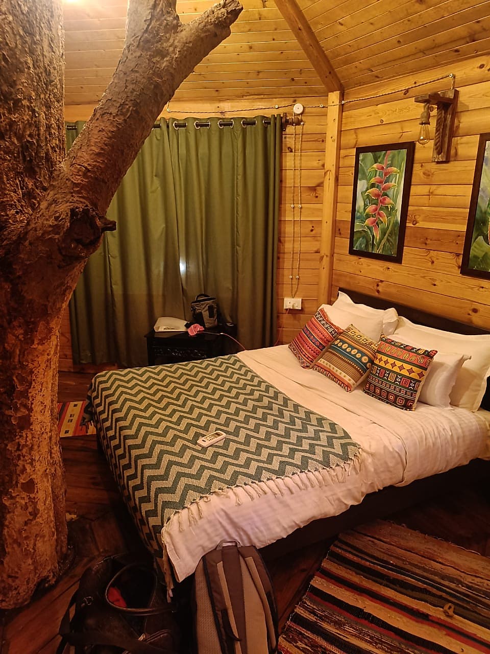 Photos of Nirvana Hill Resort - Tree house in Goa