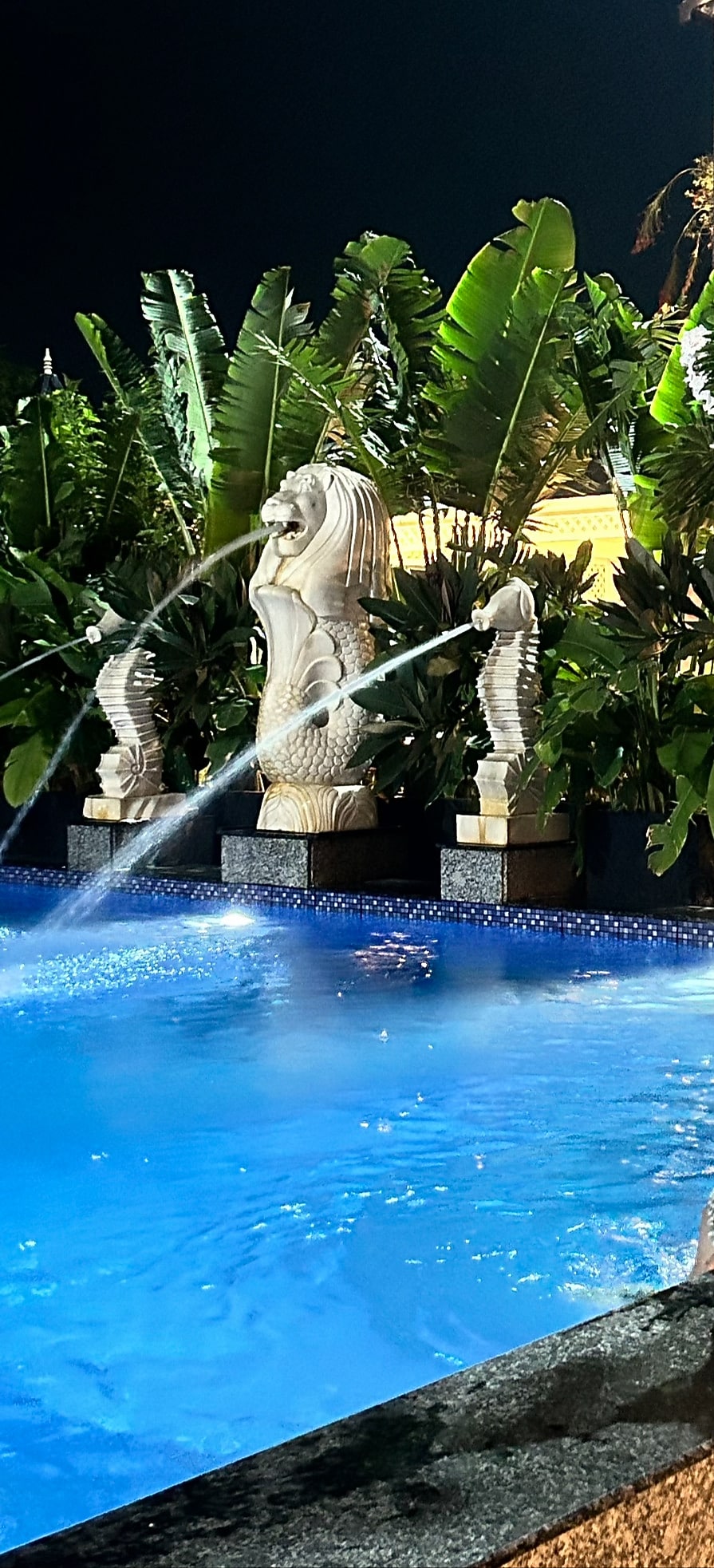 Mayfair Purnea 𝗕𝗢𝗢𝗞 Purnia Resort 𝘄𝗶𝘁𝗵 𝗙𝗥𝗘𝗘 𝗖𝗮𝗻𝗰𝗲𝗹𝗹𝗮𝘁𝗶𝗼𝗻