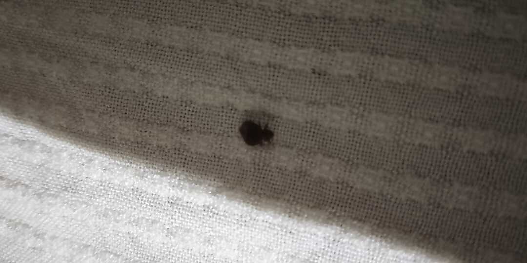 New Metro Inn Dormitory 𝗕𝗢𝗢𝗞 Mumbai Hostel 𝘄𝗶𝘁𝗵 ₹𝟬 𝗣𝗔𝗬𝗠𝗘𝗡𝗧