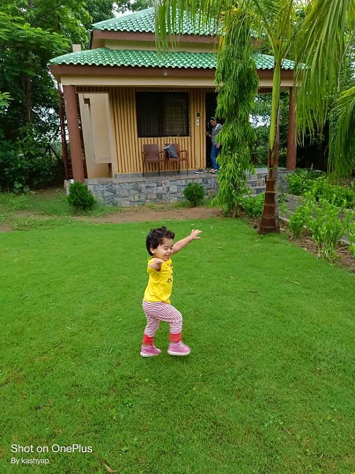 Reviews of Olive Resort - Sillari Pench - Resort in Ramtek