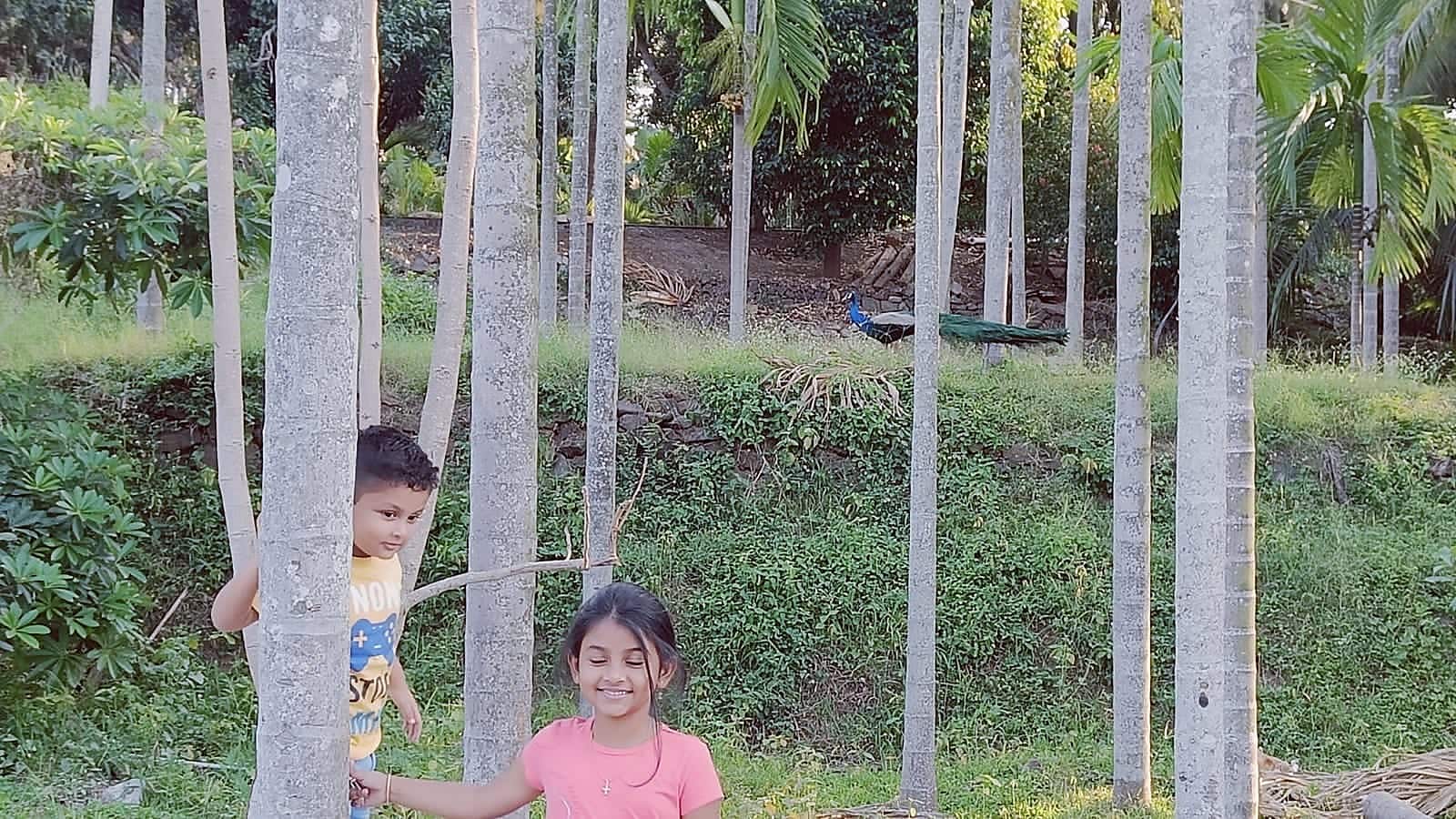 Maayaa Riverside villas & Suites 𝗕𝗢𝗢𝗞 Coimbatore Resort 𝘄𝗶𝘁𝗵 𝗙𝗥𝗘𝗘 ...