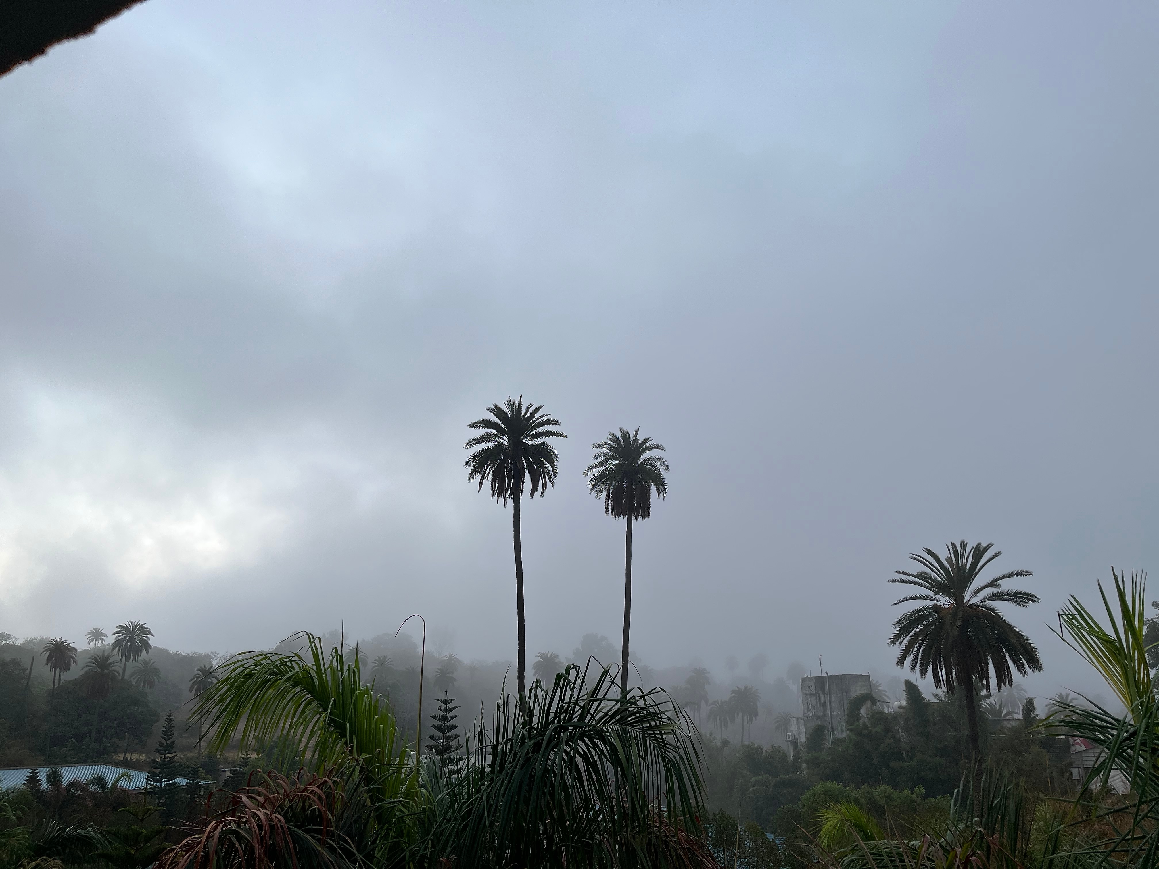 Hummingbird Resort Best Rates on Mount Abu Hotel Deals, Reviews & Photos