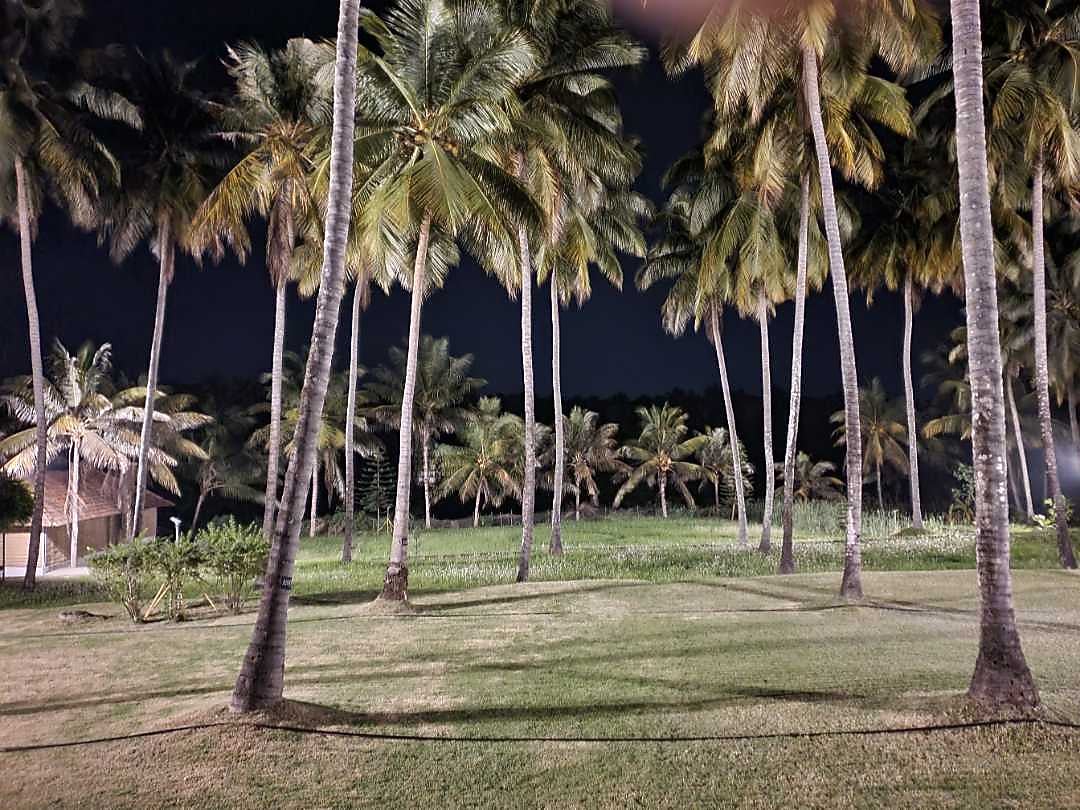 Ibex River Resorts, Pollachi 𝗕𝗢𝗢𝗞 Pollachi Resort 𝘄𝗶𝘁𝗵 ₹𝟬 𝗣𝗔𝗬𝗠𝗘𝗡𝗧