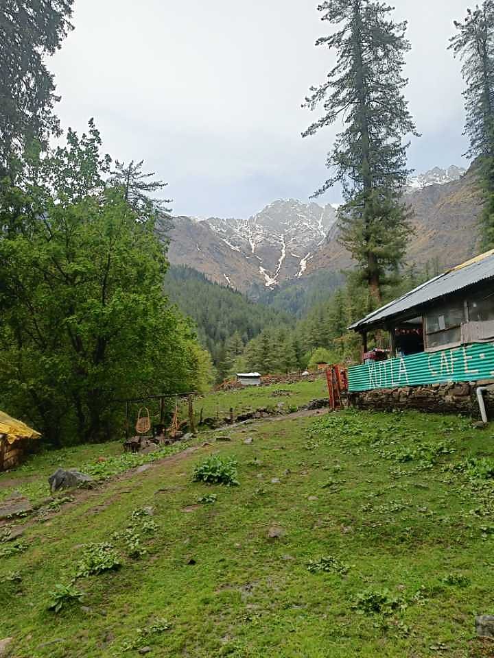 Singing Woods Kutla 𝗕𝗢𝗢𝗞 Tosh Cottage 𝘄𝗶𝘁𝗵 𝗙𝗥𝗘𝗘 𝗖𝗮𝗻𝗰𝗲𝗹𝗹𝗮𝘁𝗶𝗼𝗻