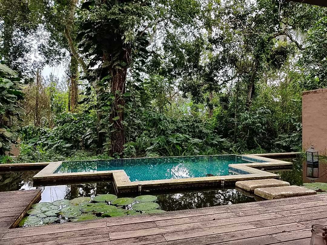 EVOLVE BACK, COORG | Coorg Resort BOOK @ ₹1