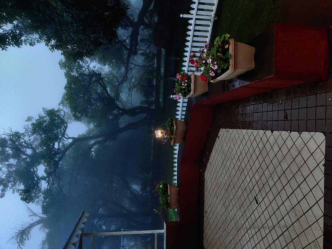 Photos of Citrus Chambers Mahabaleshwar - Resort in Mahabaleshwar