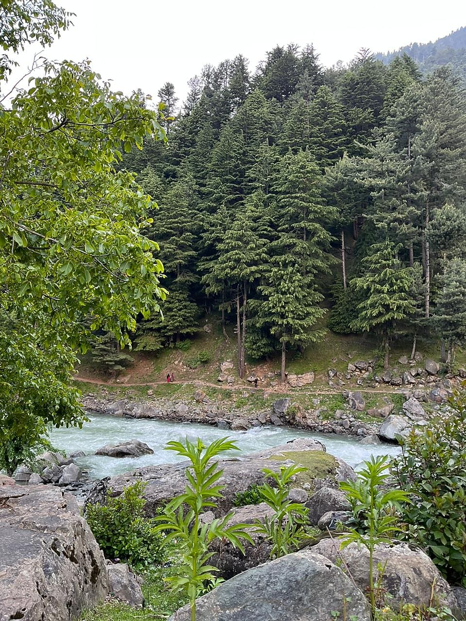 Welcome Resort 𝗕𝗢𝗢𝗞 Pahalgam Resort 𝘄𝗶𝘁𝗵 ₹𝟬 𝗣𝗔𝗬𝗠𝗘𝗡𝗧