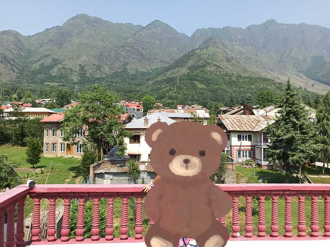 Zostel Srinagar | Srinagar Hostel BOOK with ₹0 PAYMENT