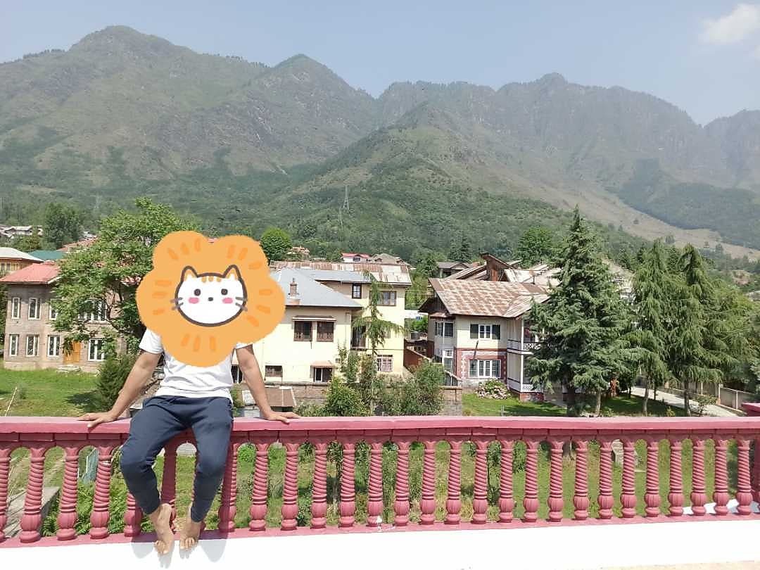 Zostel Srinagar | Srinagar Hostel BOOK @ ₹1