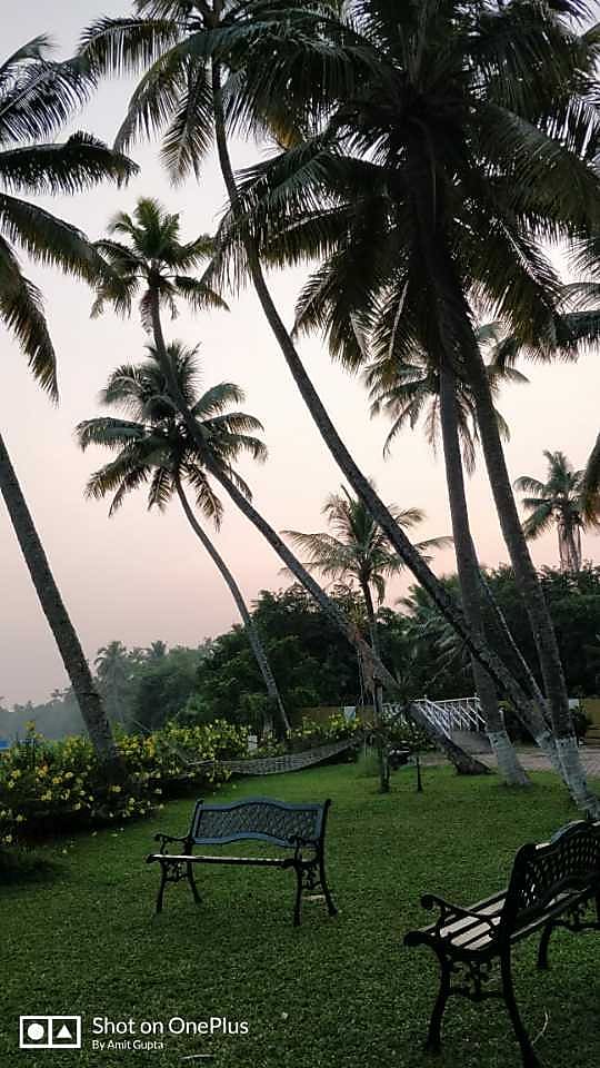 The World Backwaters Alleppey Resort Price, Address & Reviews